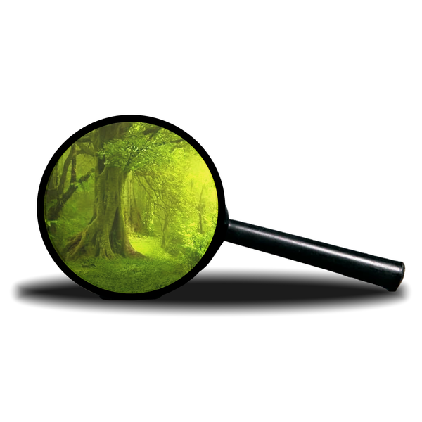 A+ Homework 2.5X Magnifier - Pepe Ganga Online | Everything for the home